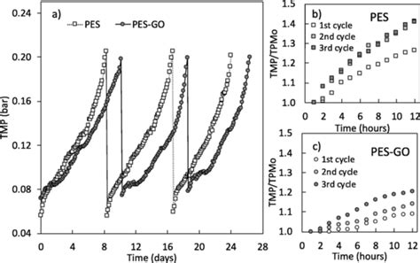 Transmembrane Pressure During The Experimental Period A And Download Scientific Diagram