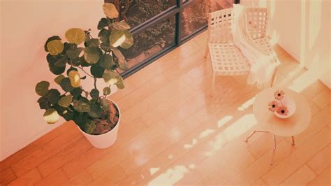 Скачать обои «Стул столик и цветы в комнате 1366х768 для рабочего стола с фильтром Earlybird