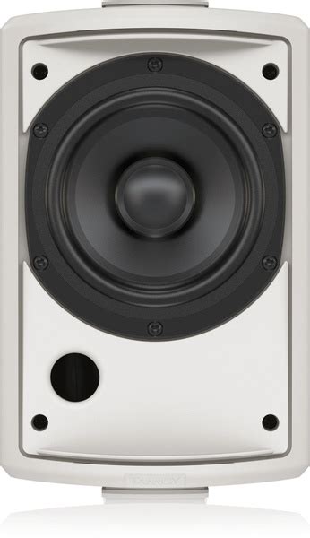 Трансляционный громкоговоритель Tannoy AMS 5ICT LS-WH, белый - купить ...
