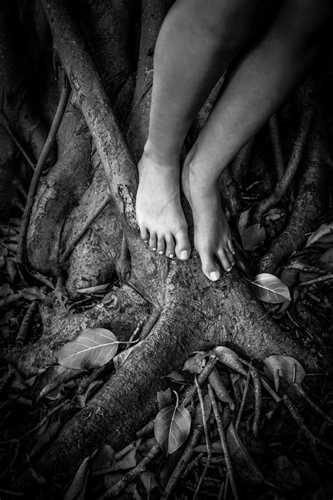 Tree Conected B W On Behance Tree Conected B W On Behance