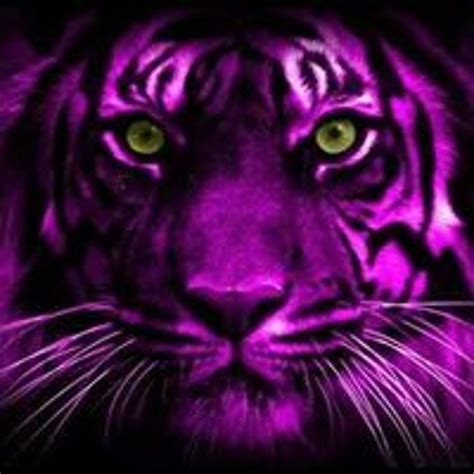 Stream Darrick O Brown Music Listen To Songs Albums Playlists For Free On Soundcloud