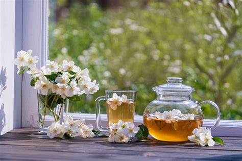 유리 주전자 컵 및 정원 근처의 여름날 창턱에 재스민 꽃의 아름다운 꽃다발에 뜨거운 허브 차 0명에 대한 스톡 사진 및 기타 이미지 Istock