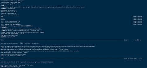 使用 Jpom 快速发布项目到服务器教程 源码巴士