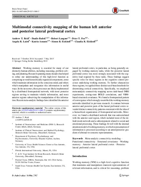 Pdf Multimodal Connectivity Mapping Of The Human Left Anterior And