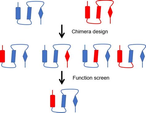P POP平台 我们的技术 Prosit Sole Biotechnology