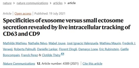 Cd63 The Specific Marker Protein Of Exosomes Creative Biolabs