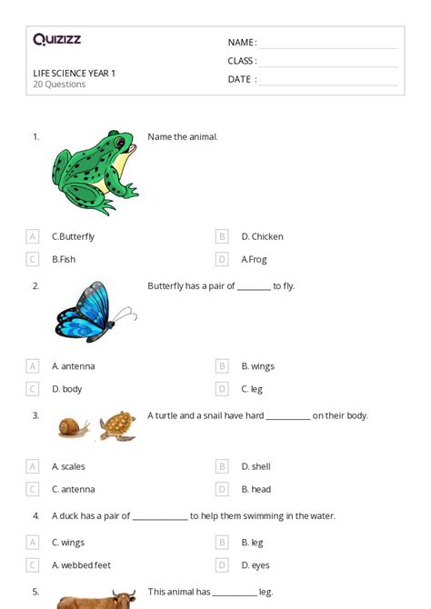 50 Science Worksheets For 1st Class On Quizizz Free And Printable