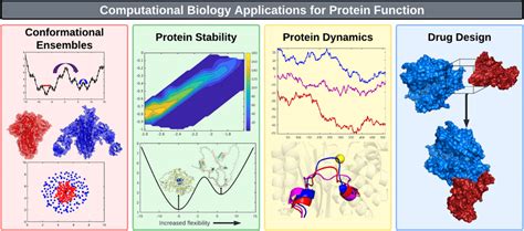 four pillars of computational biology the role of protein structure is