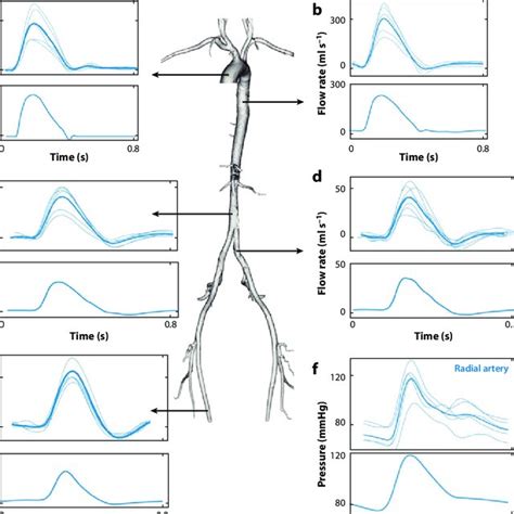 Pdf Pulse Wave Propagation In The Arterial Tree