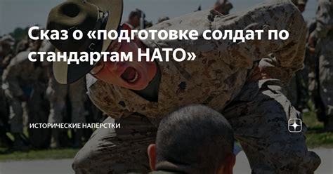 Сказ о подготовке солдат по стандартам НАТО Исторические напёрстки
