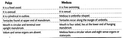 Differentiate Between Polyp And Medusa Cbse Class 11 Biology Learn