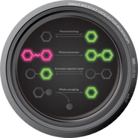 荧光团在单分子定位显微镜中的光化学机制 Angewandte Chemie International Edition X Mol