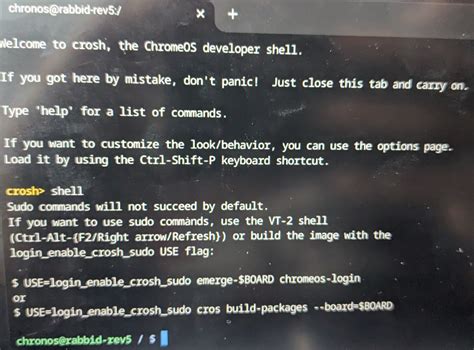 How To Activate Sudo Commands R Crouton