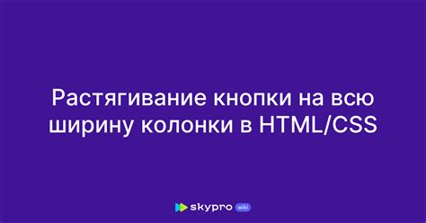 Растягивание кнопки на всю ширину колонки в Html Css
