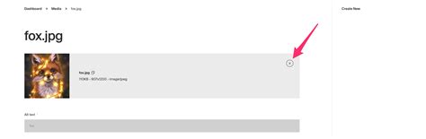Media Delete Button Is Not Hidden In The Media If There Are No Rights