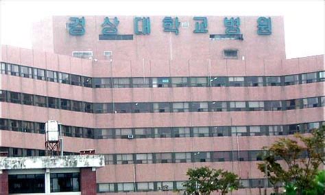 경상대병원 전공의 간호사 폭행 논란 오마이뉴스