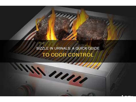 Sizzle In Urinals A Quick Guide To Odor Control Medshun