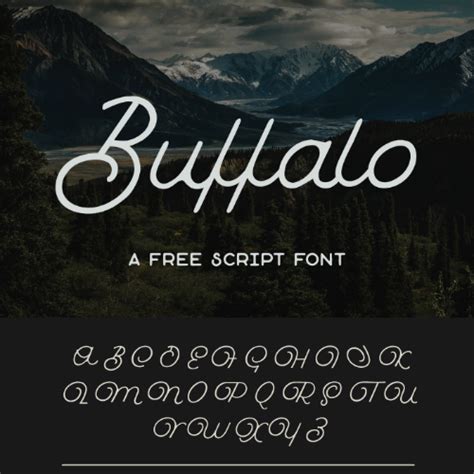 150 superbes polices d écriture gratuites à télécharger Graphiste Blog