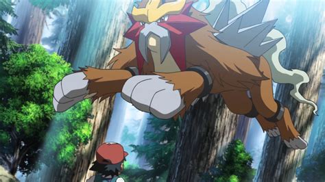 Entei Ms020 Pokémon Wiki Fandom