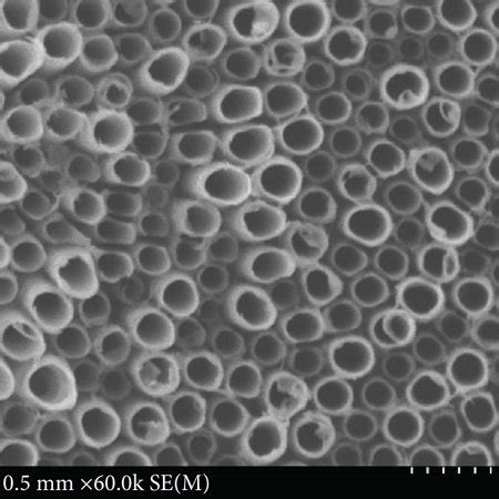 Surface Morphological Analysis Of TiO2 Nanotubes Fabricated With The Download Scientific