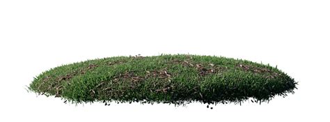 Grass 3d Pngs For Free Download
