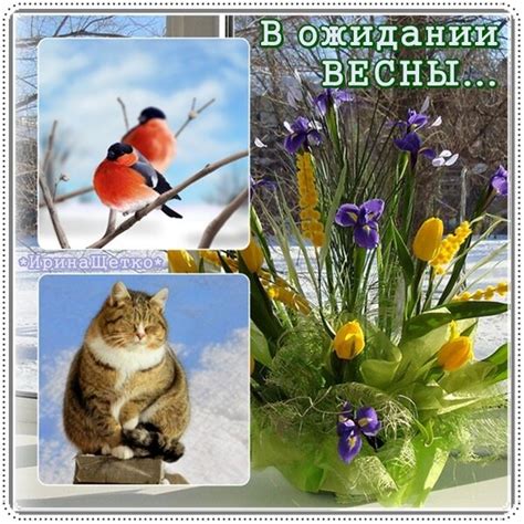 Открытка Последний день зимы