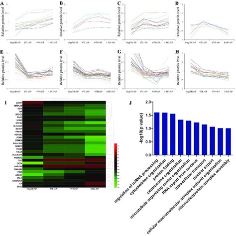 Expression Trends Hierarchical Clustering And Biological Processes