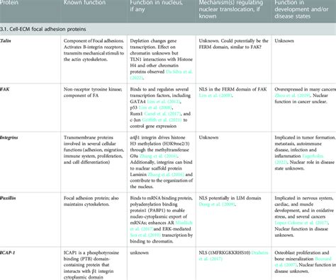 Summary Of Cell Adhesion Proteins And Their Function In The Nucleus