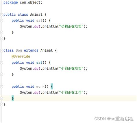 Java面向对象的三大特征 Csdn博客