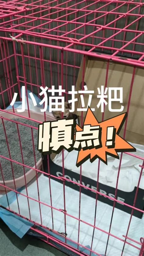 祝贺成型便便 腾讯视频}