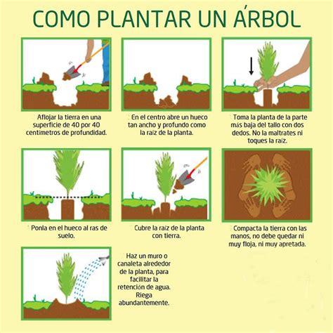 Corto Ejemplo De Un Texto Instructivo Estructura De Un Texto