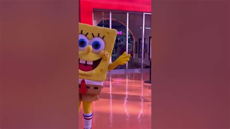 Most Awkward Dab Up Or All Time Spongebobs Crazy Carnival Ride Circus Circus Adventuredome