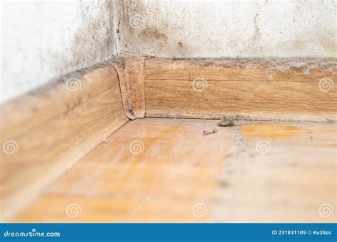 Dust In The Corner Of The Room Real Old Neglected Dusty Dirt Dirty