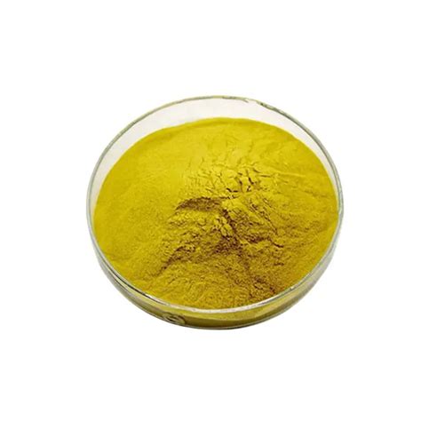 Phellodendron Extract Manufacturers Phellodendron Extract Suppliers And Exporters