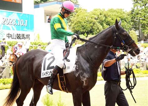 10月1日中山競馬⭐︎2歳未勝利⭐︎バイデンテソーロ 公式：黒澤ひかりのキラキラ日記～magic Kiss Lovers Only～