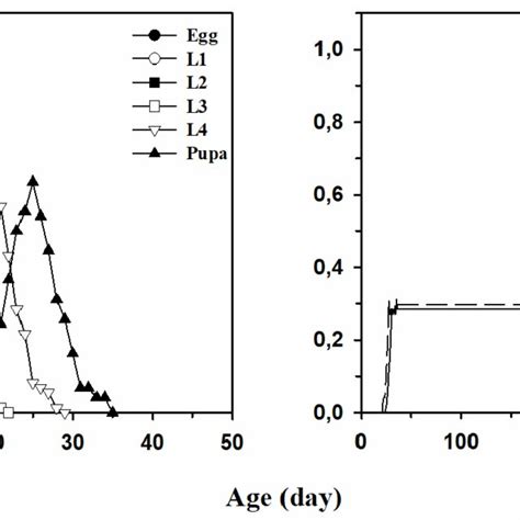 Age Stage Survival Rate Sxj Of Subcoccinella Vigintiquatuorpunctata Download Scientific Diagram