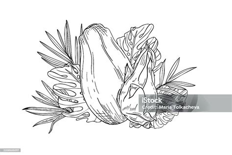 벡터 열대 파파야 Pitahaya 잎 사이 손으로 그린 고립 된 그림 검은 잉크로 그린 달콤한 전체 과일 몬스테라 야자수 잎 그래픽 스케치 그림 여름 이국적인 식물 0명에