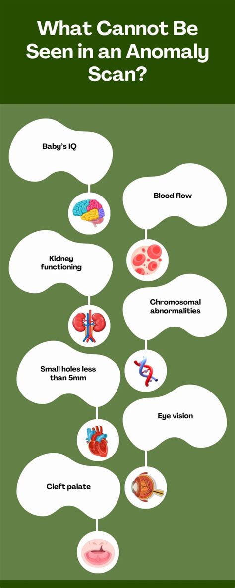 Accurate Anomaly Scan In Chennai Know About Anomaly Scan