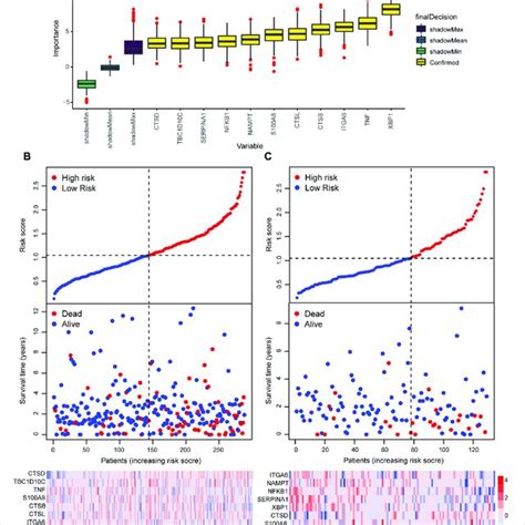 Differential Correlation And Signal Pathway Enrichment Analysis Of Download Scientific