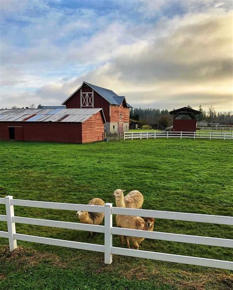 Remlinger Farms North Bend Escapes
