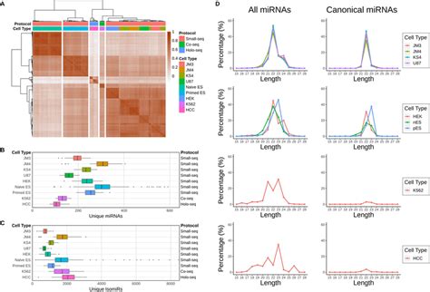 An Overview Of The Small RNA Sequencing Samples That Were Analyzed A Download Scientific