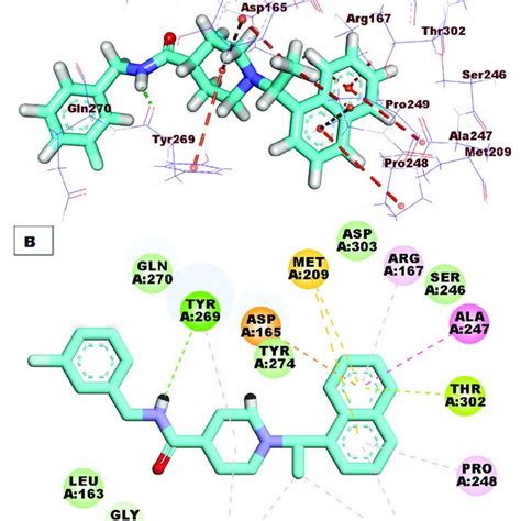 A Three Dimensional And B Two Dimensional Binding Modes Of Compound Download Scientific