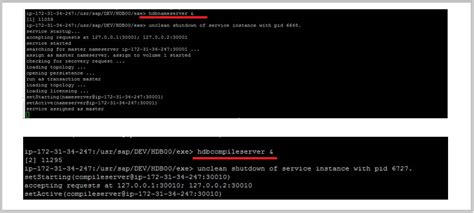 Hana Tutorials How To Reset The Hana System User Password
