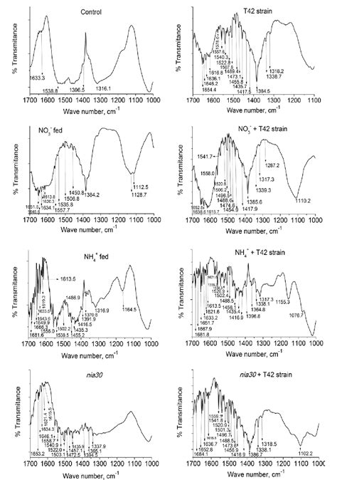 Figure 3 From Trichoderma Asperellum T42 Reprograms Tobacco For