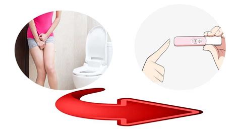 Sex 12 Days After Period Telegraph