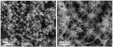 一种钯铜金纳米刺状电催化剂及其制备方法与流程