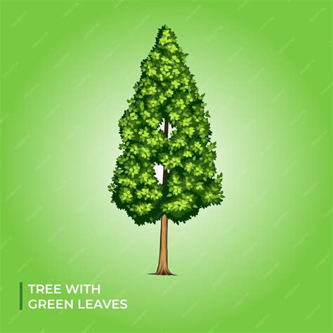Premium Vector Tree With Green Leaves Vector