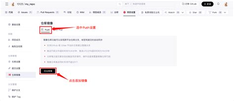 Repository Mirroring Gitcode 帮助文档