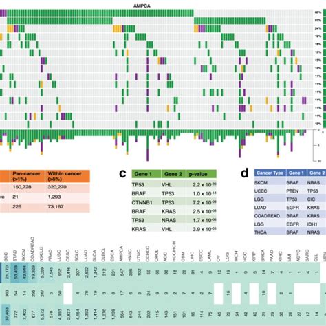 A Example Of Mutation Signature Plot Showing Co Occurrence And
